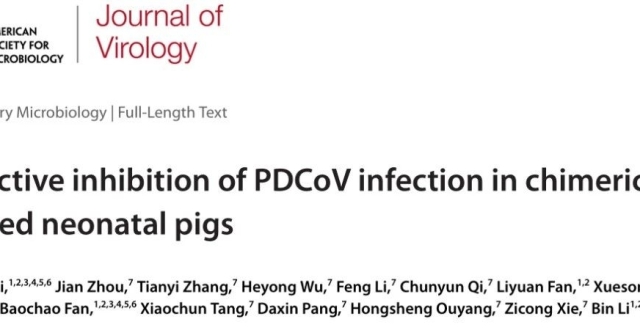 J Virol抗猪δ冠状病毒基因编辑猪种质创制取得新进展_腾讯新闻