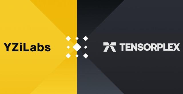 一天暴涨500%，读懂Yzi Labs投资的Bittensor生态项目Tensorplex Labs_腾讯新闻
