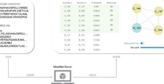 号外 | 王初课题组开发了用于预测蛋白质组中金属结合位点的在线服务器MetalNet2_腾讯新闻