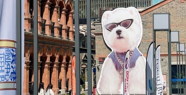 虹口这里！宠物友好！携宠速来，快乐赴约_腾讯新闻