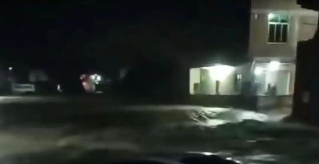 痛心！三姐弟不幸身亡腾讯新闻