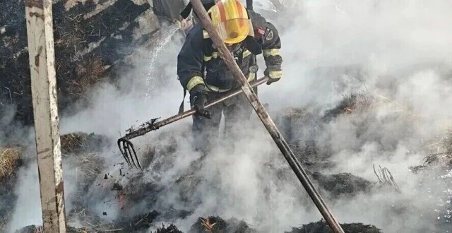 揪心！兄弟俩牛棚旁“瞎折腾”，爷爷抄水管上演极限救场！_腾讯新闻