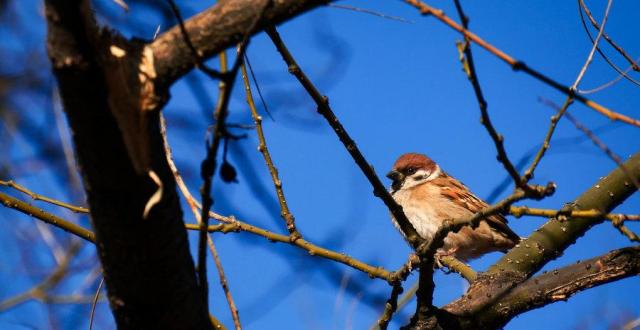 松下LUMIX G97体验：轻巧又专业的M4/3系统微单_腾讯新闻