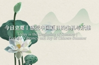 Today is the Beginning of Summer | Feel the Vibrancy and Joy of Chinese ...