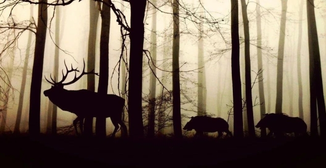 活在ChatGPT们阴影里的Stack Overflow：流量萎缩、裁员10％，CEO坦言公司正处于困难时期_腾讯新闻