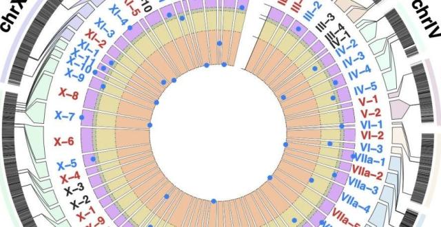 SDbioinfo-数据可视化1-Circos图及R实现_腾讯新闻