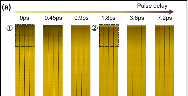 北京理工大学姜澜院士、韩伟娜研究员课题组《Addit. Manuf.》：具有高三维能力和高结构精度的定制微针的制造_腾讯新闻