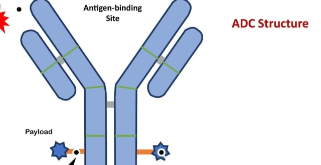 头部Trop2 ADC在二线晚期非小细胞肺癌中的进展分析_腾讯新闻
