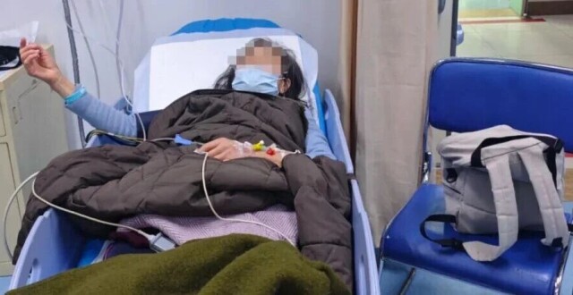 盒马回应“误将水仙当百合致人中毒”_腾讯新闻