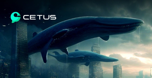 一文解读Sui＆Aptos上集中流动性协议Cetus_腾讯新闻