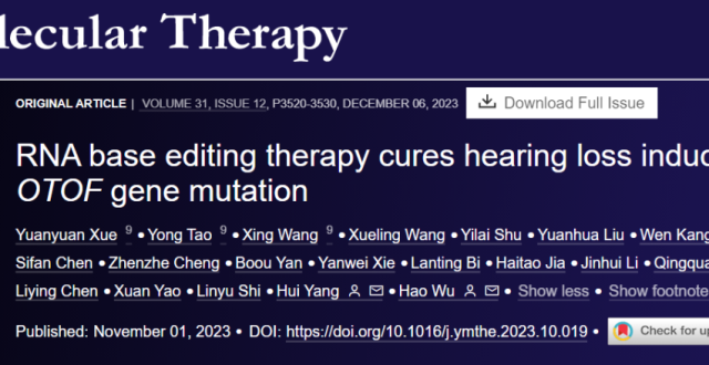 Mol Ther | 吴皓/杨辉合作研发新型基因编辑工具成功实现遗传性耳聋DFNB9基因治疗_腾讯新闻