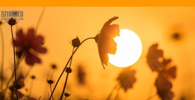 JPM大会上，5家最可能改变新年竞争格局的中国创新药企_腾讯新闻