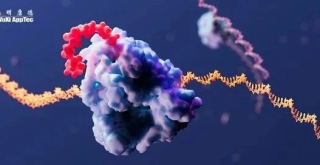 首个！开辟mRNA新应用，《自然》发表人体临床试验最新结果_腾讯新闻