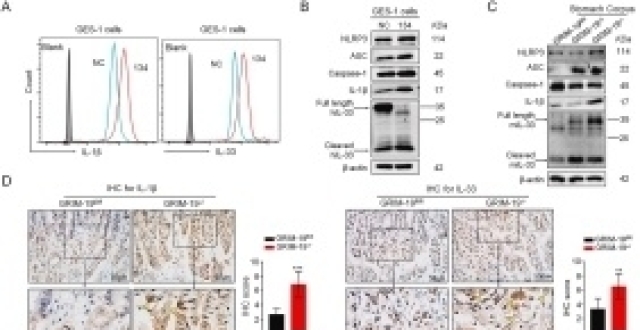 AbMole丨Belnacasan（VX-765）：靶向Caspase-1阻断细胞焦亡_腾讯新闻