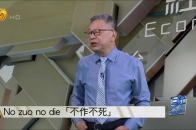 “No zuo no die”已被很多外国人熟知？石齐平：不作不死 适用于美日台菲_腾讯新闻