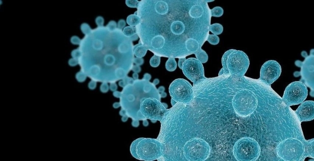 ISME J | 首次发现一种病毒附着在另一种病毒上_腾讯新闻