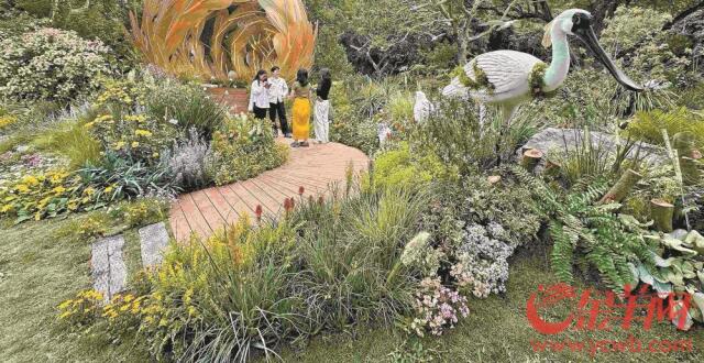 2024粤港澳大湾区花展今日起在深举办 首次利用AR技术_腾讯新闻