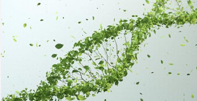 复宏汉霖HLX43 2期临床研究完成首例给药_腾讯新闻