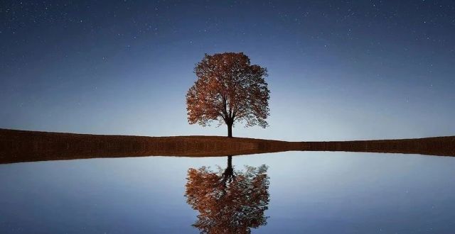 Vite 4.3正式发布，性能提升，为应对Rust写的Turbopack？_腾讯新闻