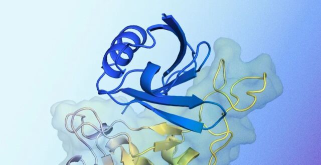 谷歌 AlphaProteo AI 模型登场：突破蛋白质结合剂设计挑战_腾讯新闻