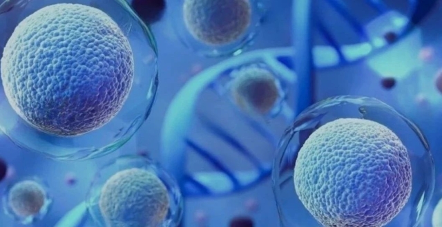 Arrowhead：将靶向INHBE、ALK7小核酸药物推进临床，进军肥胖和代谢疾病领域！_腾讯新闻