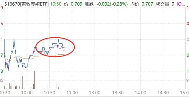 猪肉股底部回暖，畜牧养殖ETF(516670)盘中溢价走阔，浙商证券农林牧渔首席：当前生猪养殖性价比较高_腾讯新闻