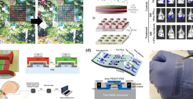 赵俊杰/杨蓉/王小雪等《Prog.Polym.Sci.》综述：聚合物薄膜的非光刻图案化方法_腾讯新闻