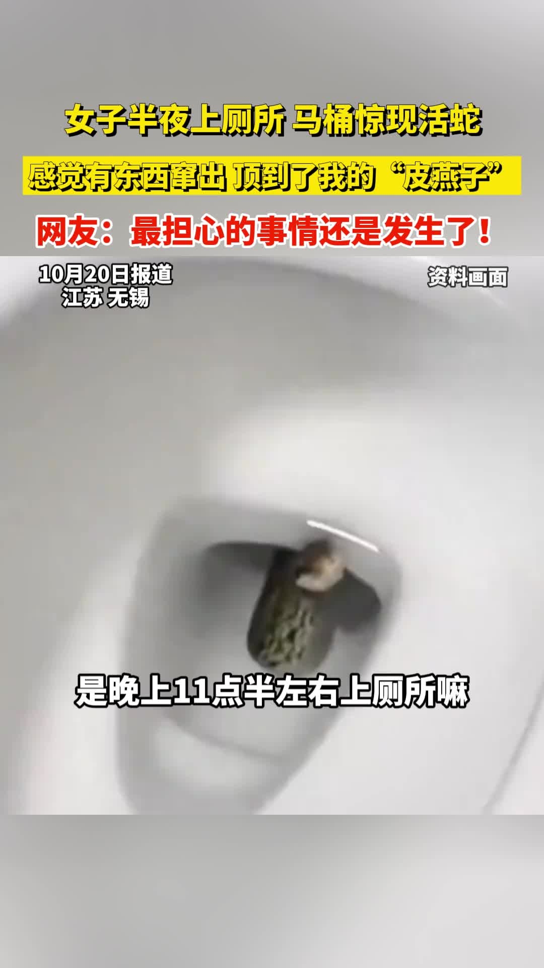 女子半夜上厕所 ，马桶惊现活蛇_腾讯新闻