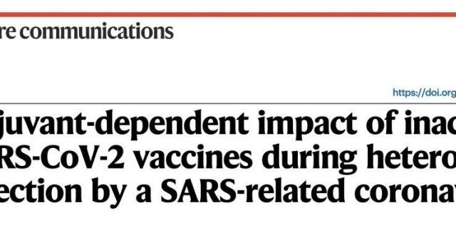 Nature communication｜灭活SARS-CoV-2疫苗在SARS相关冠状病毒异源感染期间的佐剂依赖性影响_腾讯新闻