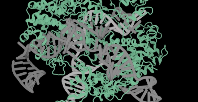 Profluent发布AI设计的基因编辑器，已成功编辑人类基因组_腾讯新闻