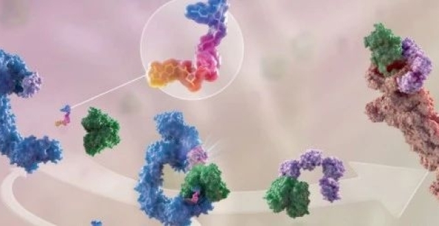 首个Trk PROTAC！睿跃生物的CG001419启动I/II 期试验人体给药_腾讯新闻