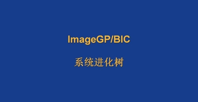 高颜值在线绘图平台ImageGP/BIC进化树绘制和注释_腾讯新闻