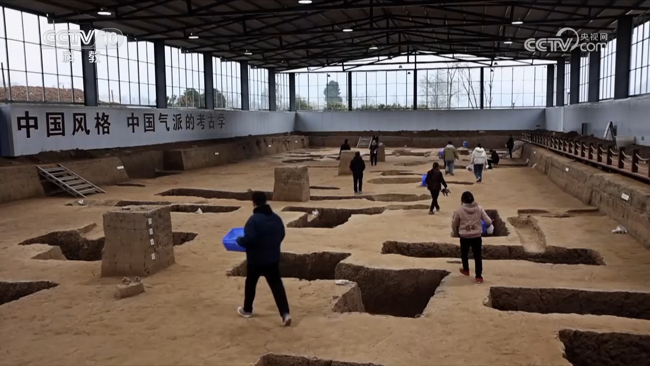 M239号墓葬中墓主头部与躯干分离，疑似遭外力破坏，考古队开始解密_腾讯新闻