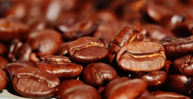 闵行区到底有多少咖啡馆？丨城市季风_腾讯新闻