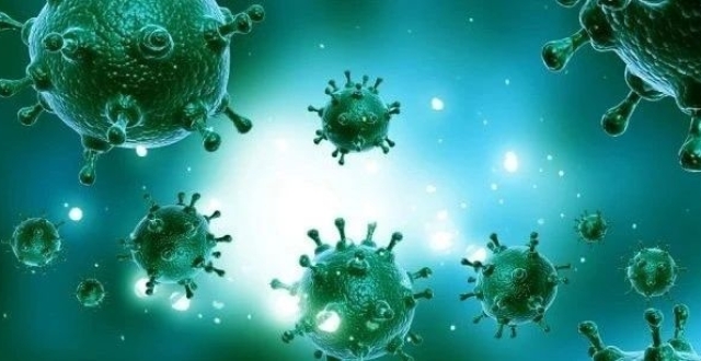 溶瘤病毒新进展！复诺健生物VG161获美国FDA授予快速通道资格_腾讯新闻