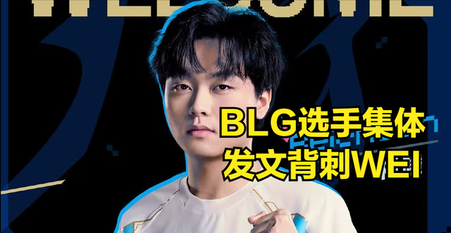 LPL首位被斩杀的冠军教练诞生！BIN发文背刺WEI，BLG换打野出奇效_腾讯新闻