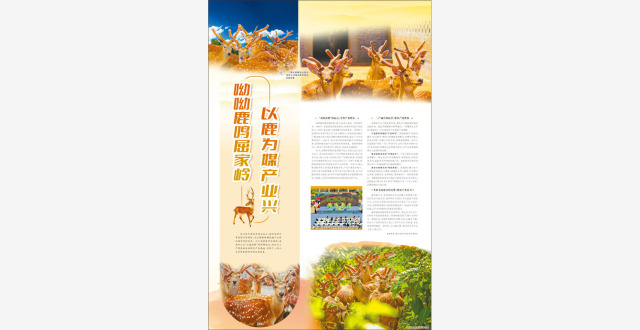 呦呦鹿鸣屈家岭 以鹿为媒产业兴_腾讯新闻