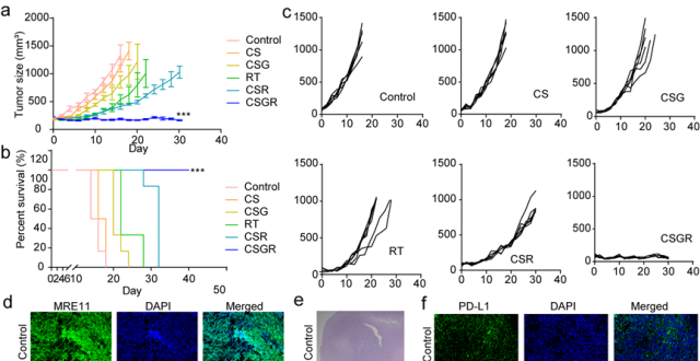 《ACS Nano》苏州大学杨凯/胡林：高分子水凝胶增强肿瘤放射免疫治疗！_腾讯新闻