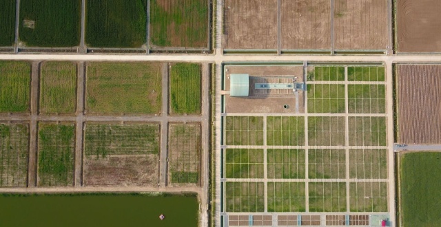 半月谈丨发掘盐碱地农产品特色价值_腾讯新闻