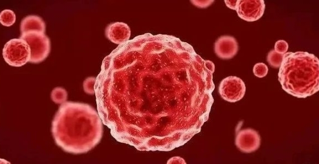 2023 ASCO|罗氏、MSD、吉利德&BMS、百济神州&诺华倾注，TIGIT靶点成药性获关键突破数据！_腾讯新闻