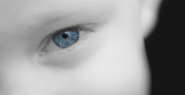 科学家研发 CALEC 技术：利用患者健康眼睛干细胞修复受损角膜_腾讯新闻