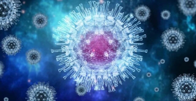 EB病毒相关癌症的“新克星”！J Med Viro | 揭示USP7在EBV相关癌症中的关键作用_腾讯新闻