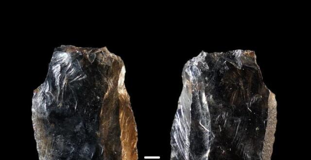 4300米考古发现揭示史前人类“世界屋脊”活动轨迹_腾讯新闻