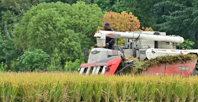 割稻、做米糕，来看新农人的硬核与浪漫_腾讯新闻