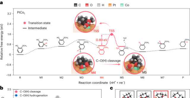 韩布兴院士团队，刚发Nature Chemistry，又发Nature Catalysis ！_腾讯新闻