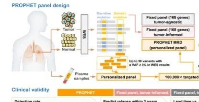 Cancer Cell（IF 50.3）：北京大学人民医院肺癌术后微小病灶残余（MRD）监测研究成果发布_腾讯新闻