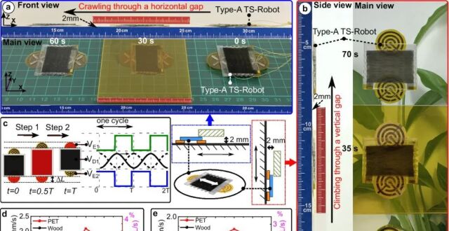 英国诺丁汉大学开发超薄软体机器人TS-Robot 每秒输出力度可达其重量41倍_腾讯新闻