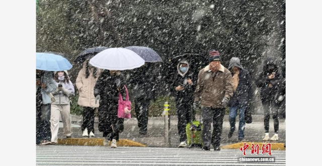 “贫雪”申城迎飞雪 沪人追雪热情高_腾讯新闻