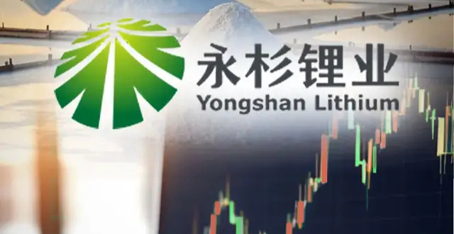 豪掷8亿！“福建富豪”吴华新吞下“杉杉系”永杉锂业_腾讯新闻