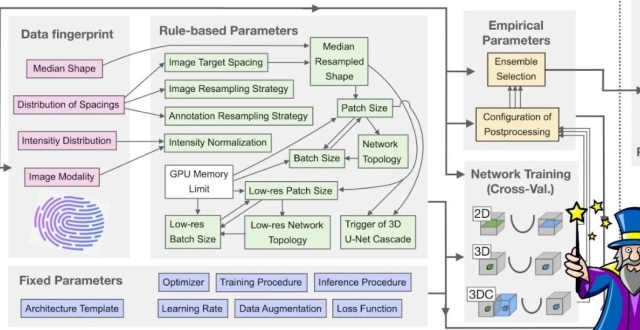 CNN依旧能战：nnU-Net团队新研究揭示医学图像分割的验证误区，设定先进的验证标准与基线模型_腾讯新闻
